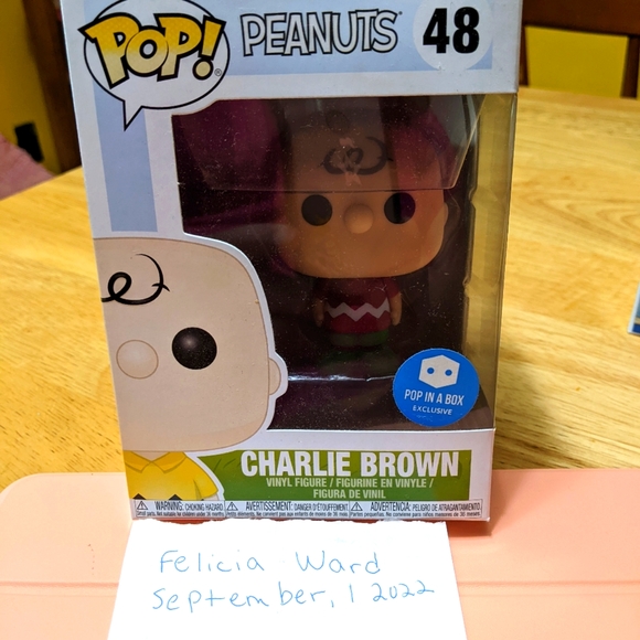 Funko | Toys | Charlie Brown Funko Pop | Poshmark
